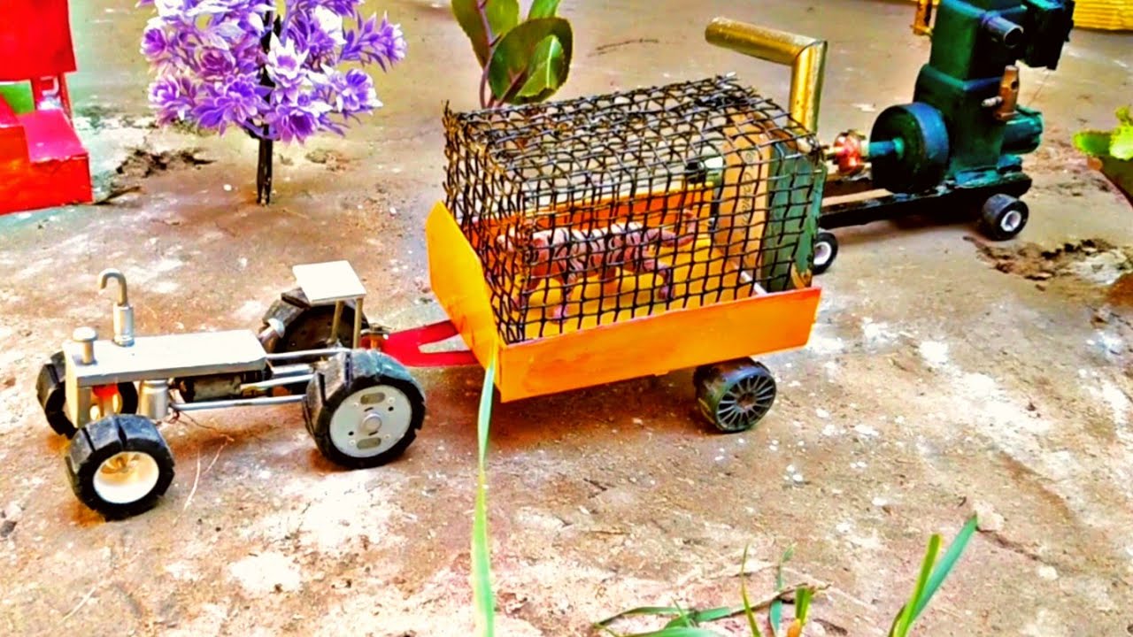 DIY tractor sifting tigar in Zoo || science project || zoo for animals ...