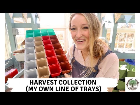 Harvest Collection Release with @Bootstrap Farmer (MY OWN LINE OF TRAYS ...