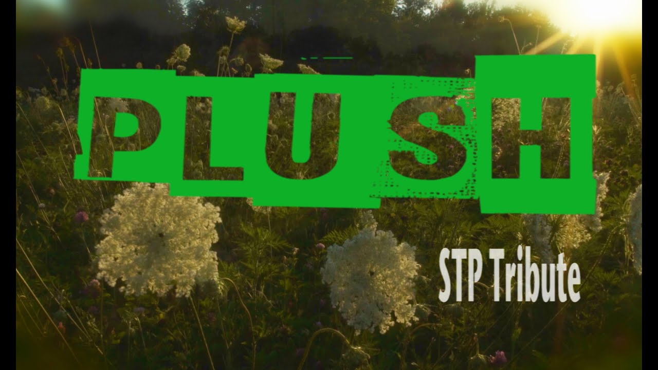 Plush Toronto, STP Tribute Outside and Unplugged - YouTube