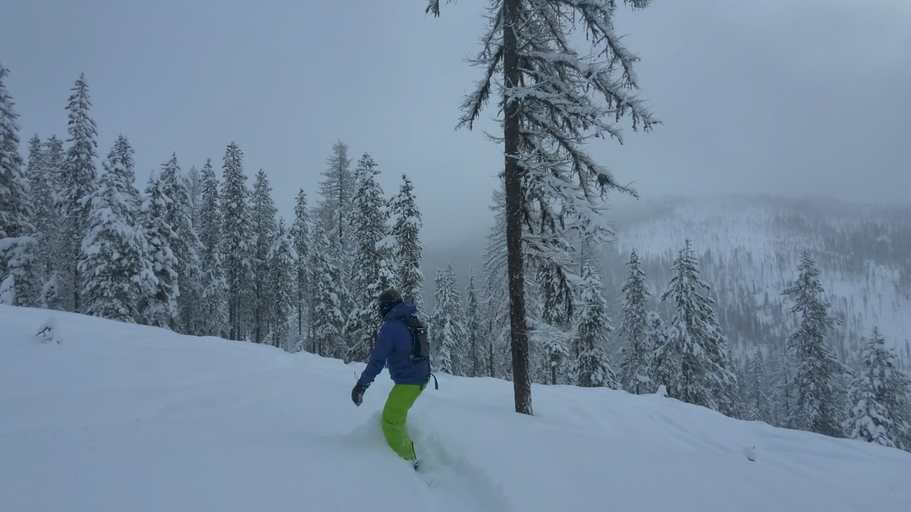 Feb 8 2020 - YouTube