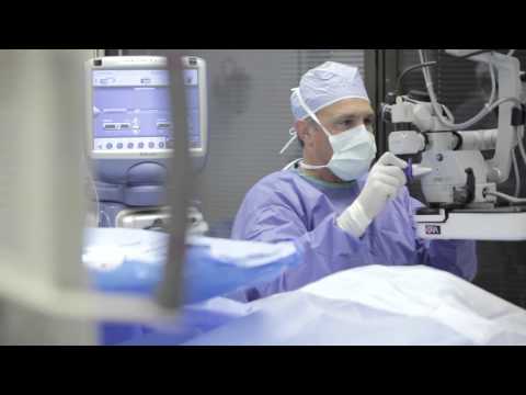 Whitsett Vision Group - ORA