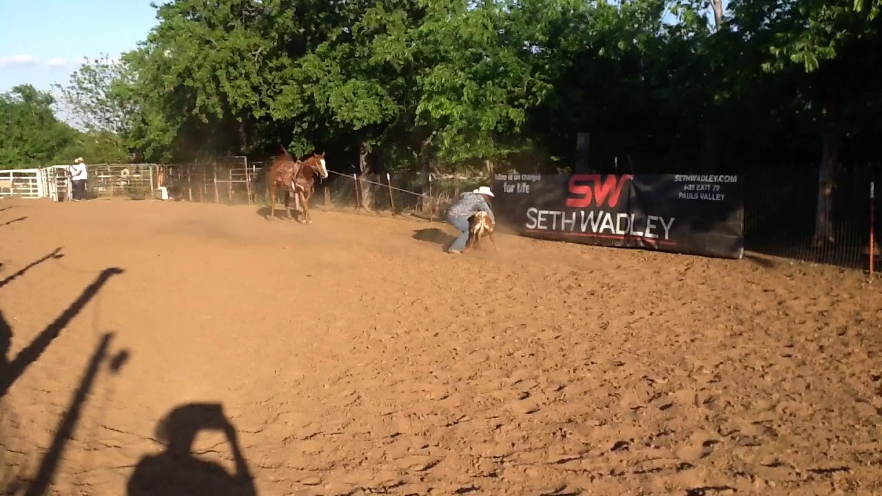 calf roping practice - YouTube