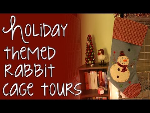 BudgetBunny: Holiday Themed Rabbit Cage Tours - YouTube