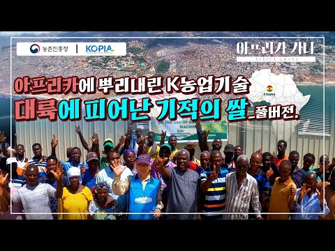 [KOPIA] 아프리카에 뿌리내린 K농업기술!! 대륙에 피어난 기적의 쌀~(풀버전)🤩