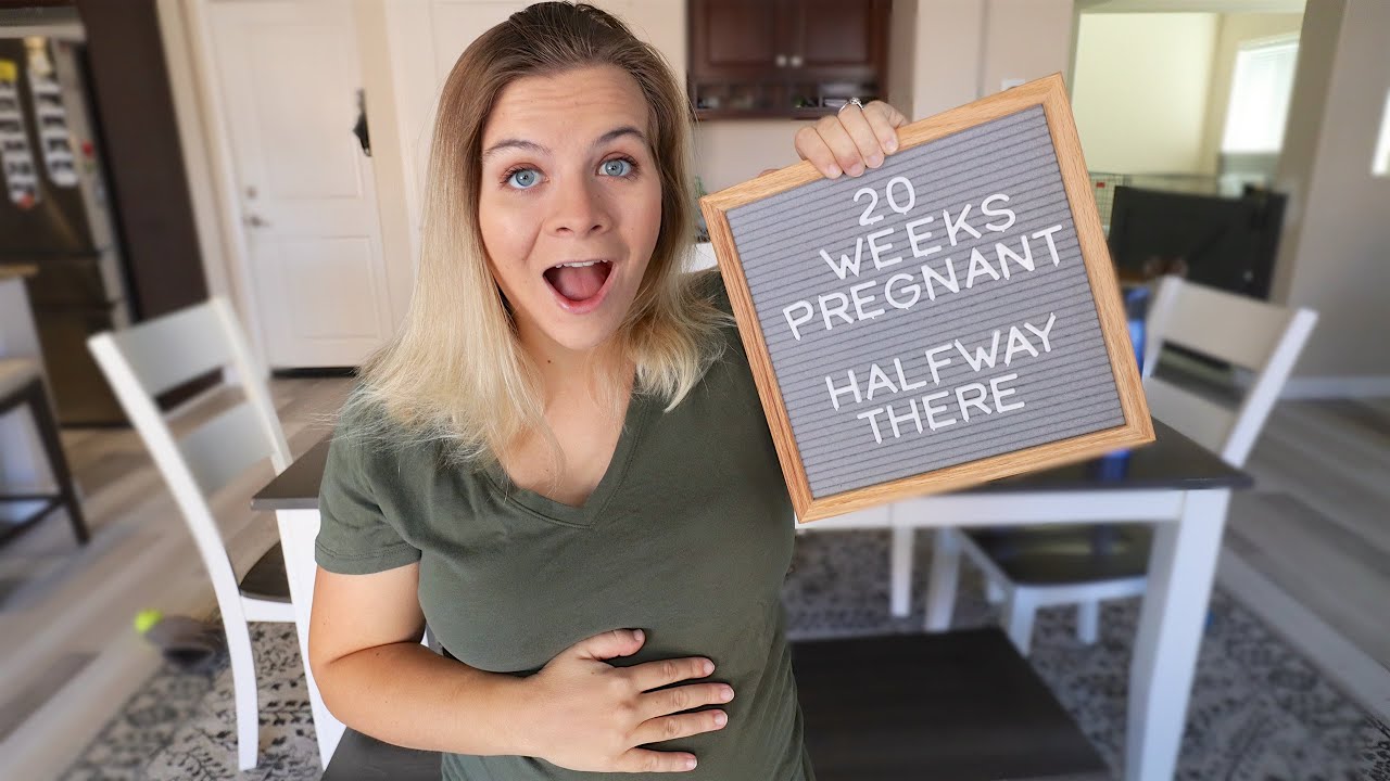 20 WEEK BUMPDATE!! HALFWAY THERE! - YouTube