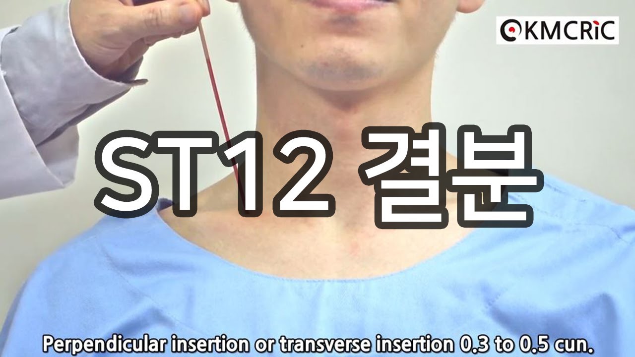 ST12 결분 缺盆 Quepen (Eng sub) - KMCRIC WHO Standard acupoint DB - YouTube