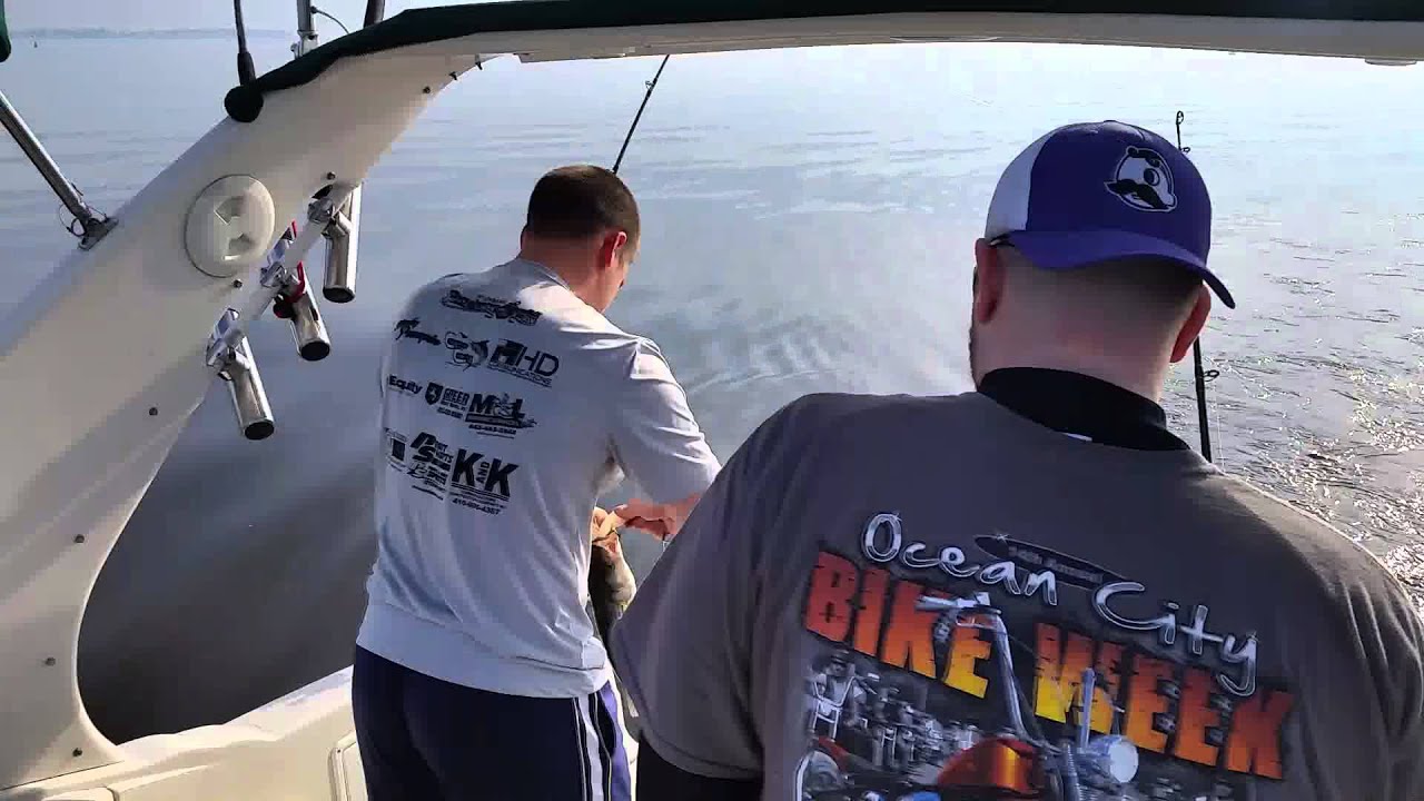 Patapsco river fishing for striper - YouTube