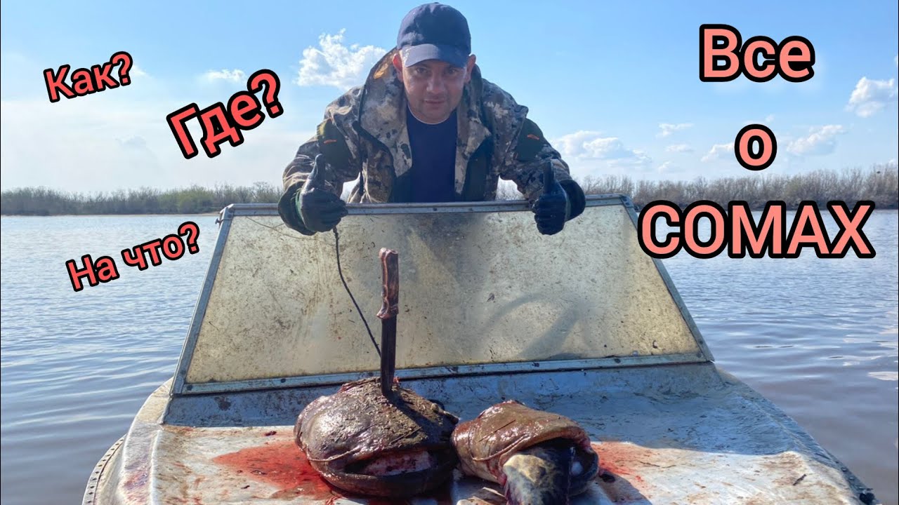 Рыбалка на СОМА. На что ловить сома? Как ловить сомов? - YouTube