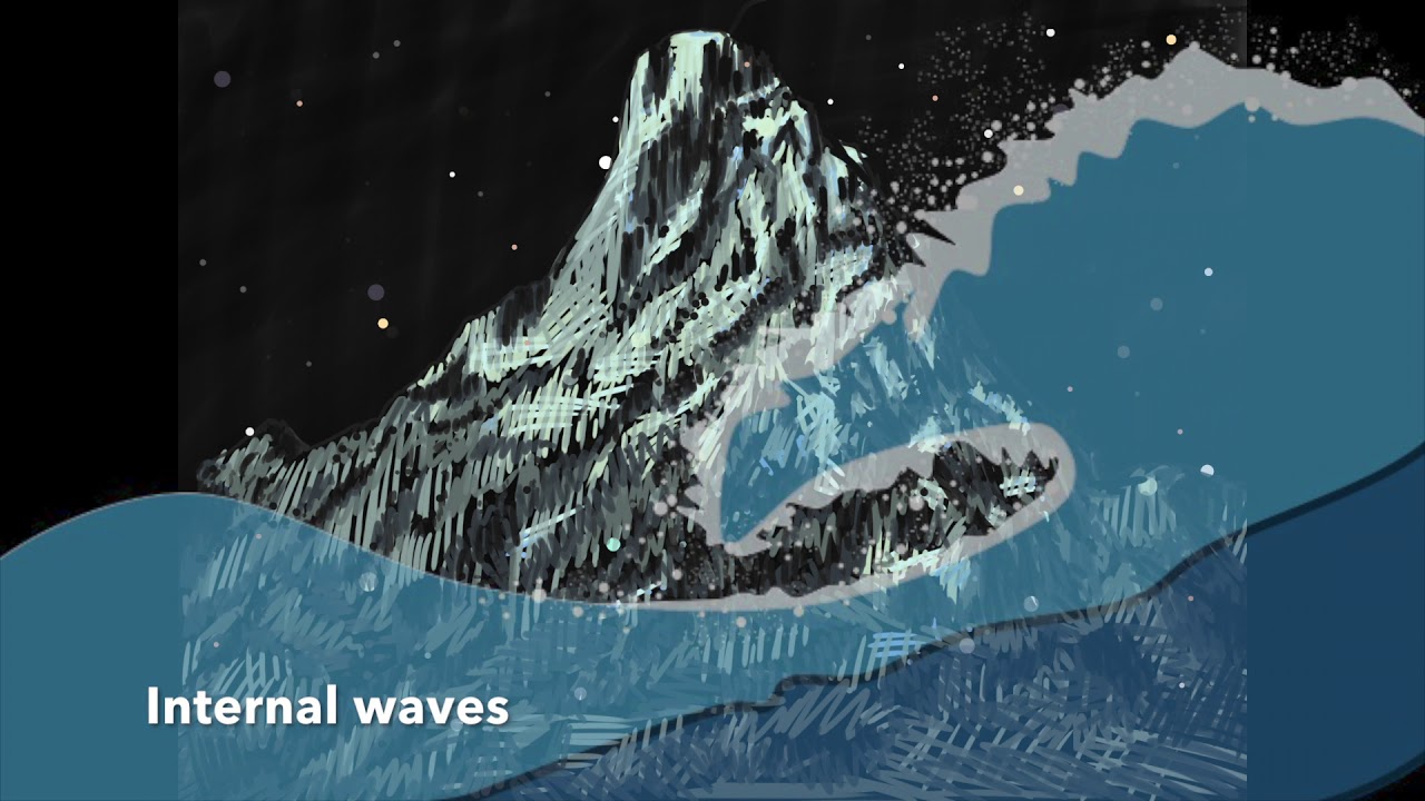 Koudwaterkoralen | Rockall Bank - YouTube