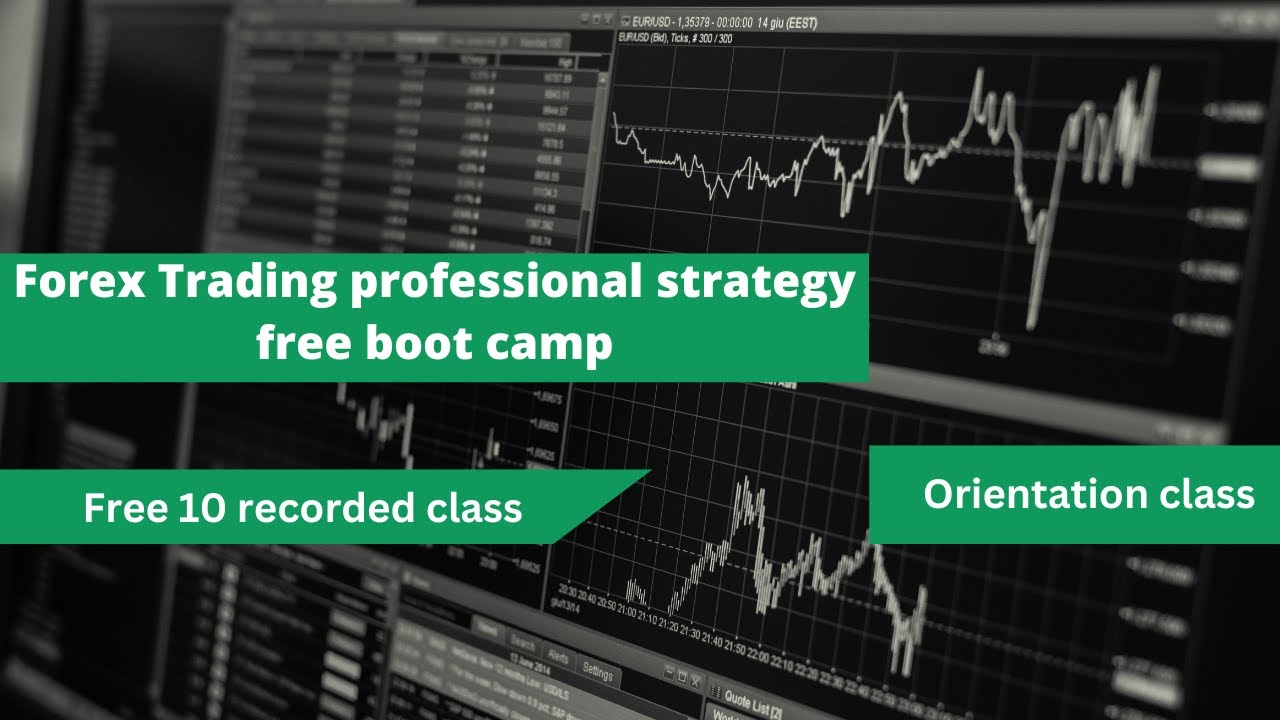 Forex Trading Professional Strategy Free Bot Camp||Orientation Class ...