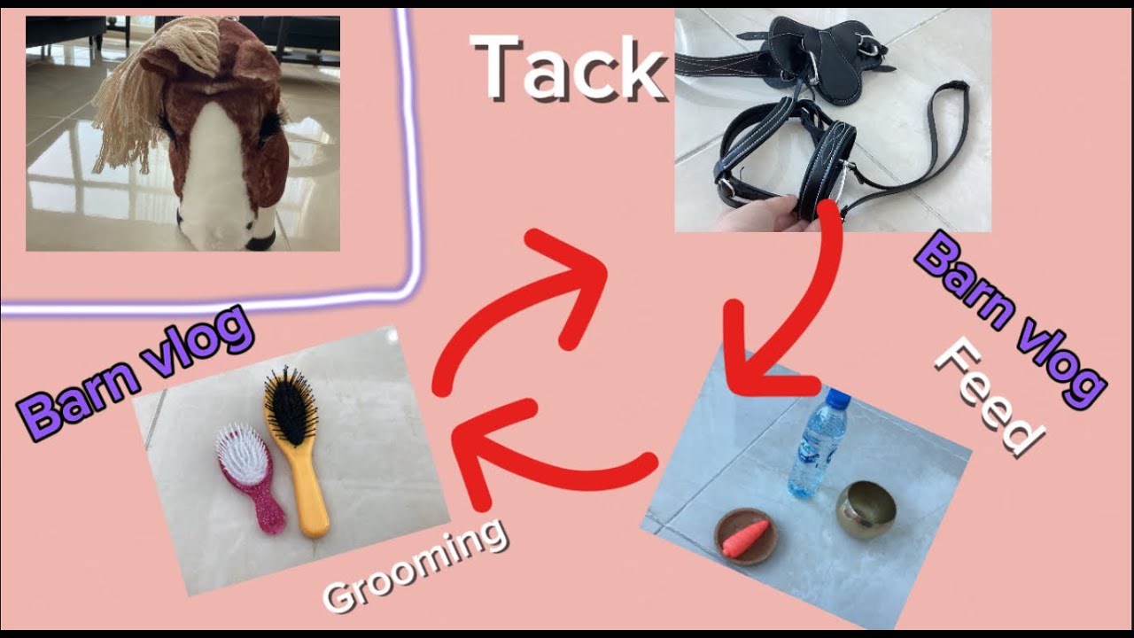 BARN VLOG WITH MILK THE PONY SHOWING YOU EVERYTHING I DO! (Lemieux toy ...