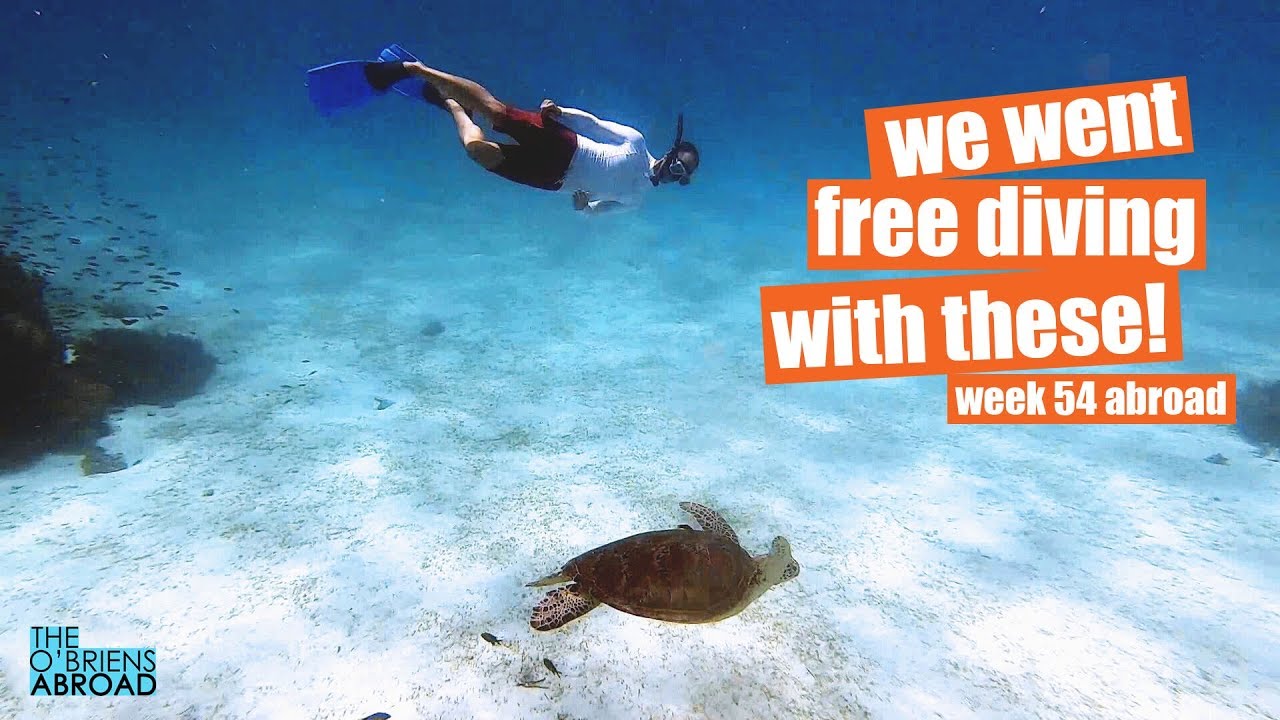 Free Dive Panglao Island, Bohol for SEA TURTLES and UNDERWATER LUNCH ...