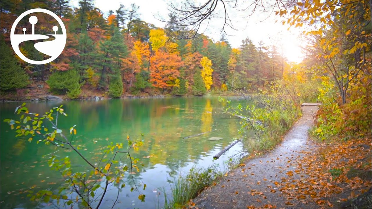 Relaxing Fall Forest Walk in the Rain Around a Green Lake - ASMR ...