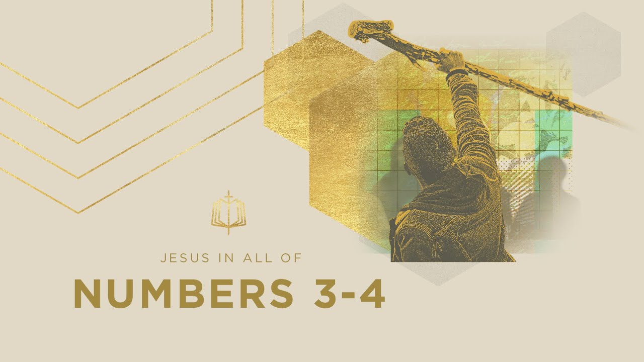 Numbers 3-4 | Redeeming the Firstborn | Bible Study - YouTube