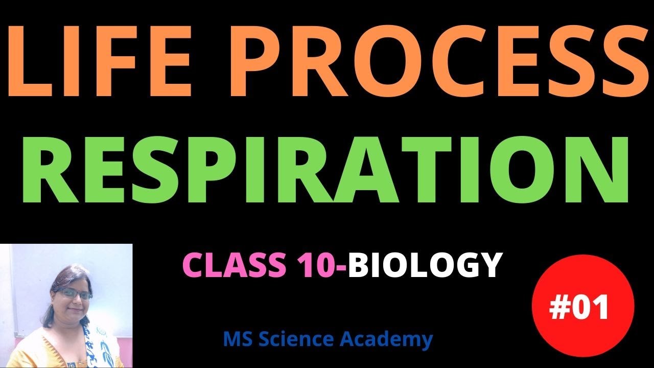 Respiration-Life Process-Class 10-CBSE-Science-Biology-Lect-1-Aerobic ...