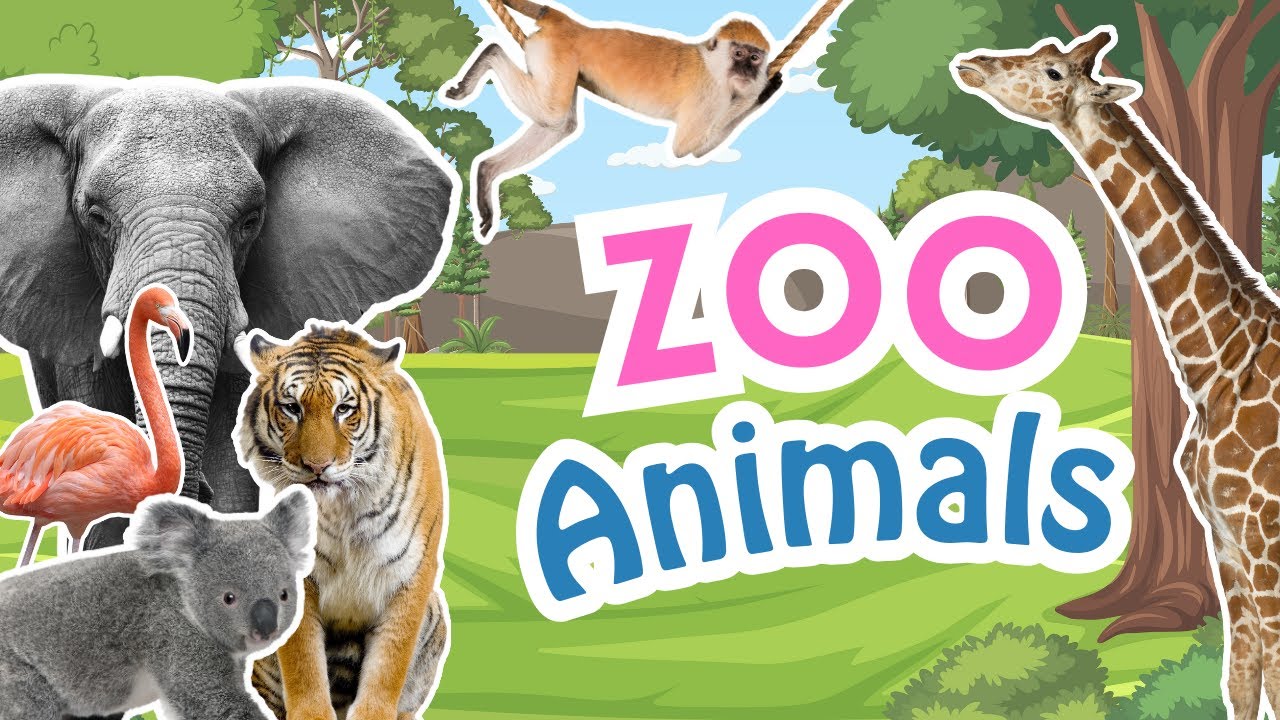 Kids Educational Videos | Kindergarten and Elementary English ...