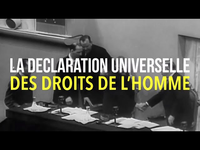 Déclaration Des Droits Simple