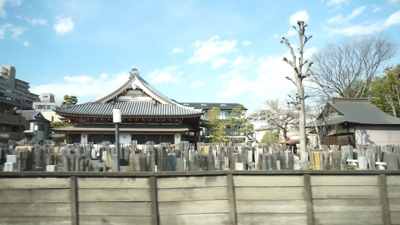 FROM TOKYO TO INAGI. - YouTube