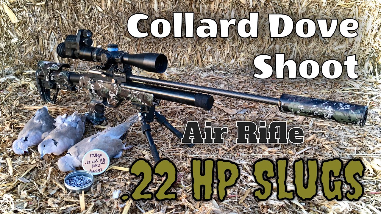 Custom 22 HP Slug Swage & Test Hunt On Farm Invaders PCP Air Rifle ...