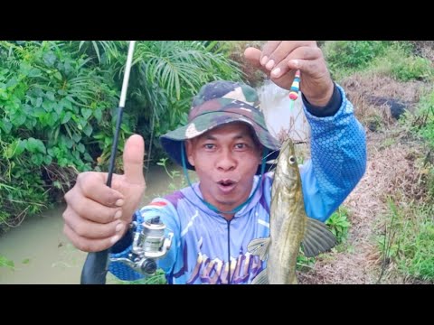 Mancing di parit kecil | Mancing di parit sawit - YouTube