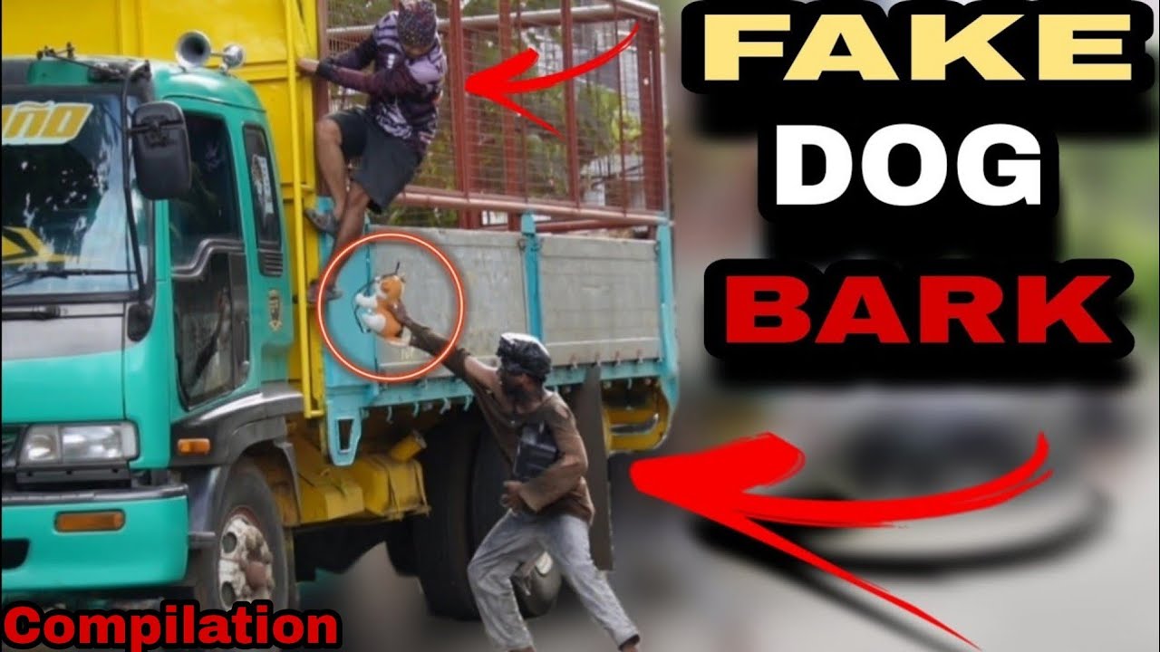 FAKE DOG BITE "PUBLIC PRANK" | COMPILATION | Daming tumakbo😂 - YouTube