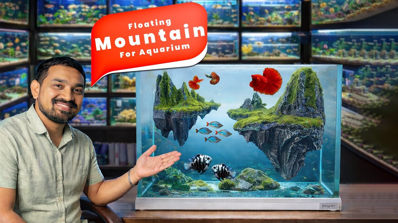 Floating Mountain Rock Aquarium 😱 | Levitating Rock Aquascape Setup ...