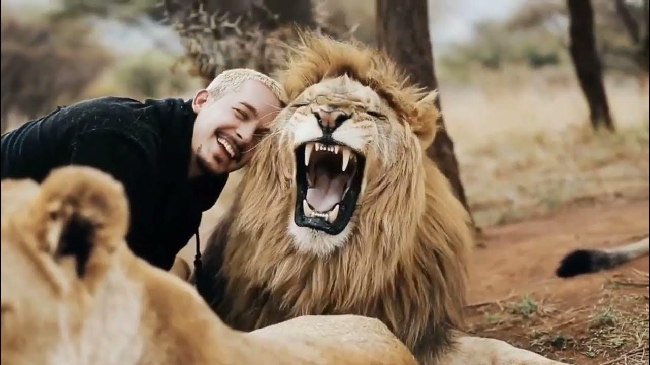 Dean Schneider Reunion With Lion Pride || Dean Schneider Lion - YouTube
