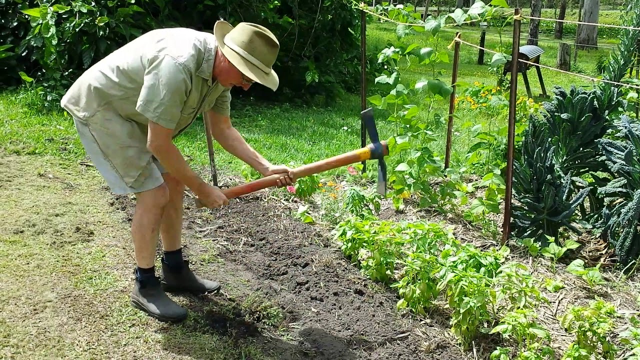 Turning lawn into food - from Peter Kearney of www.myfoodgarden.com.au ...