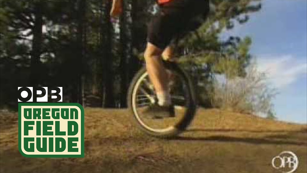 Mountain Unicycling - YouTube