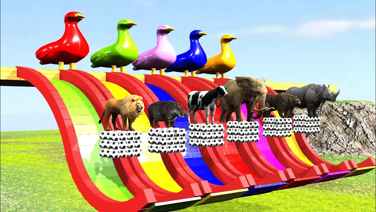 5 Giant Duck long side game with Lion Cow Hippo - YouTube
