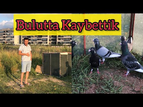 ADANA GÜVERCİNİ UÇURDUK GÖZLE GÖRMESİ BİLE ZOR MERMİ GİBİ İNDİLER…!YOK BÖYLE BİR KÜMES