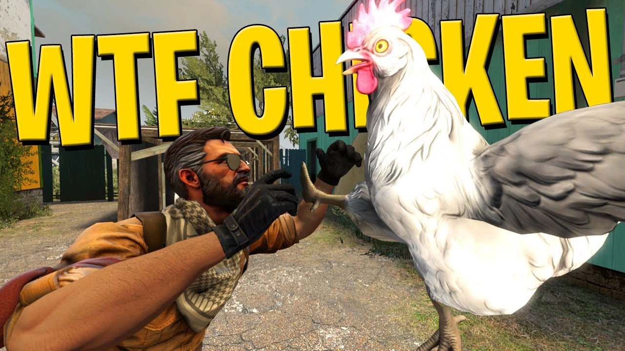 Always At The Worst Moment....Chickens - CSGO Funny Moments - YouTube