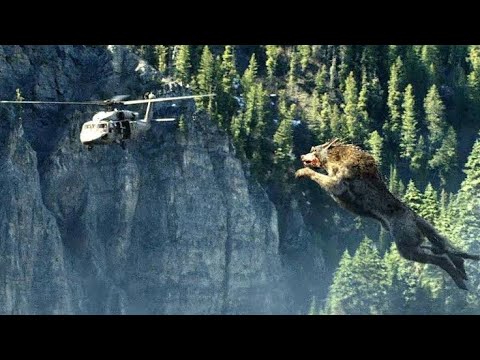 Giant Wolf Attack Scene - Wolf vs Helicopter - Rampage (2018) Movie Clip HD