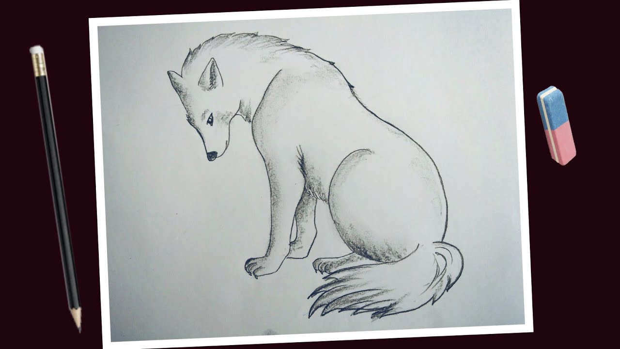 Sad Wolf Drawing