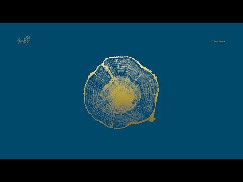 These Woods - Volvo TV Ad Soundtrack