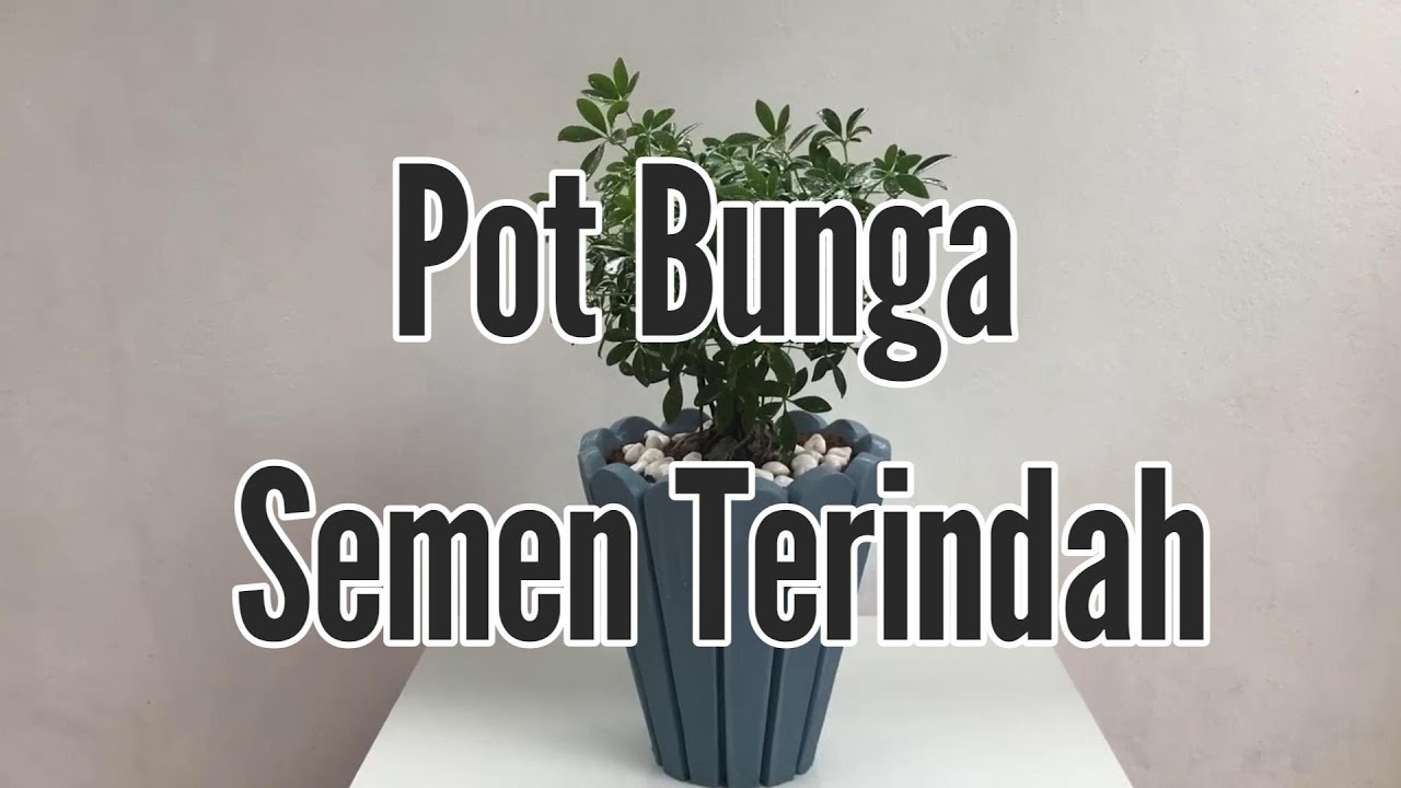 Cara Membuat Pot Bunga Dari Semen #6 - YouTube