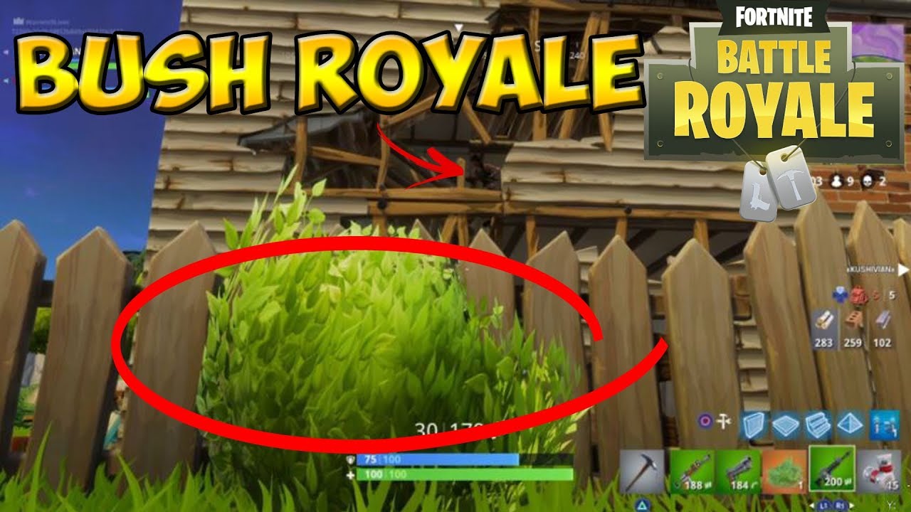 BUSH ROYALE! (Fortnite Battle Royale) - YouTube