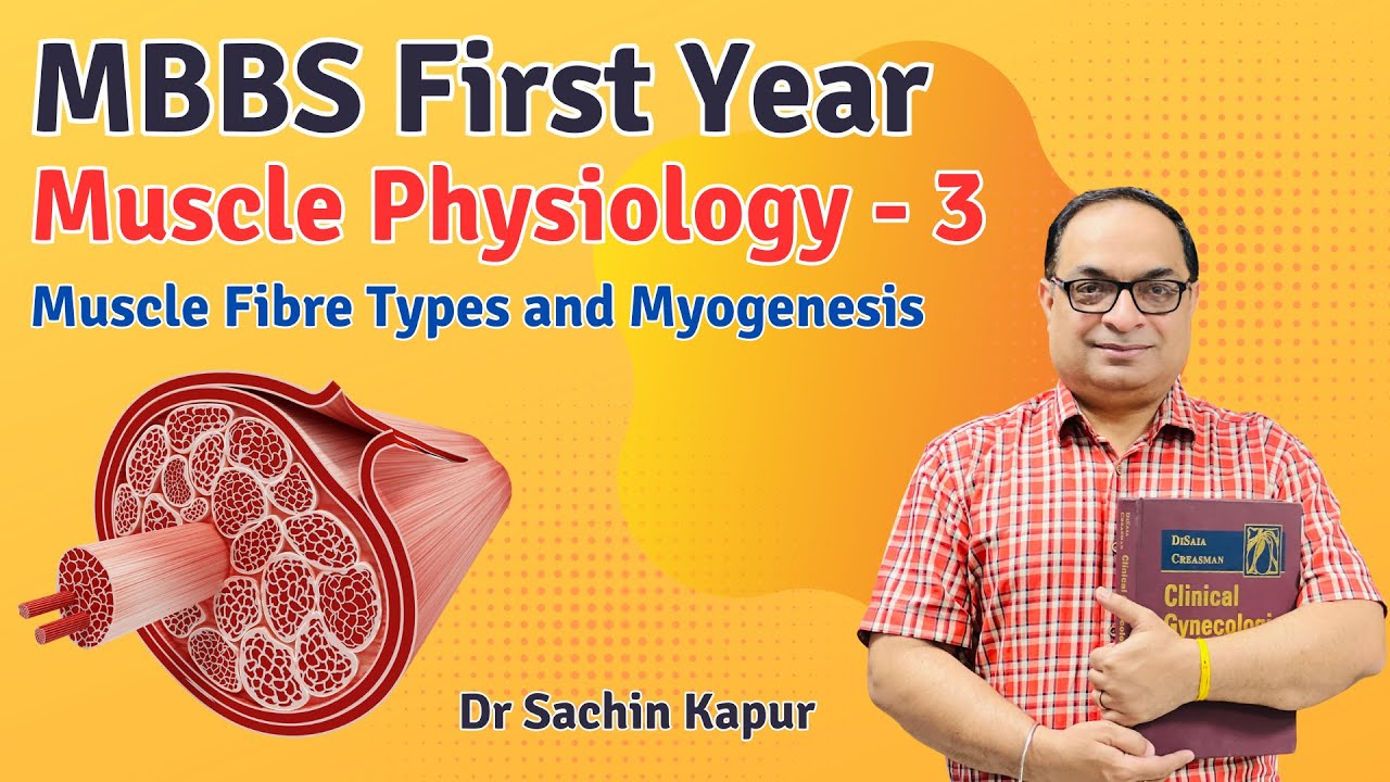 MBBS First Year | Muscle Physiology | Muscle Fibre Types and Myogenesis ...