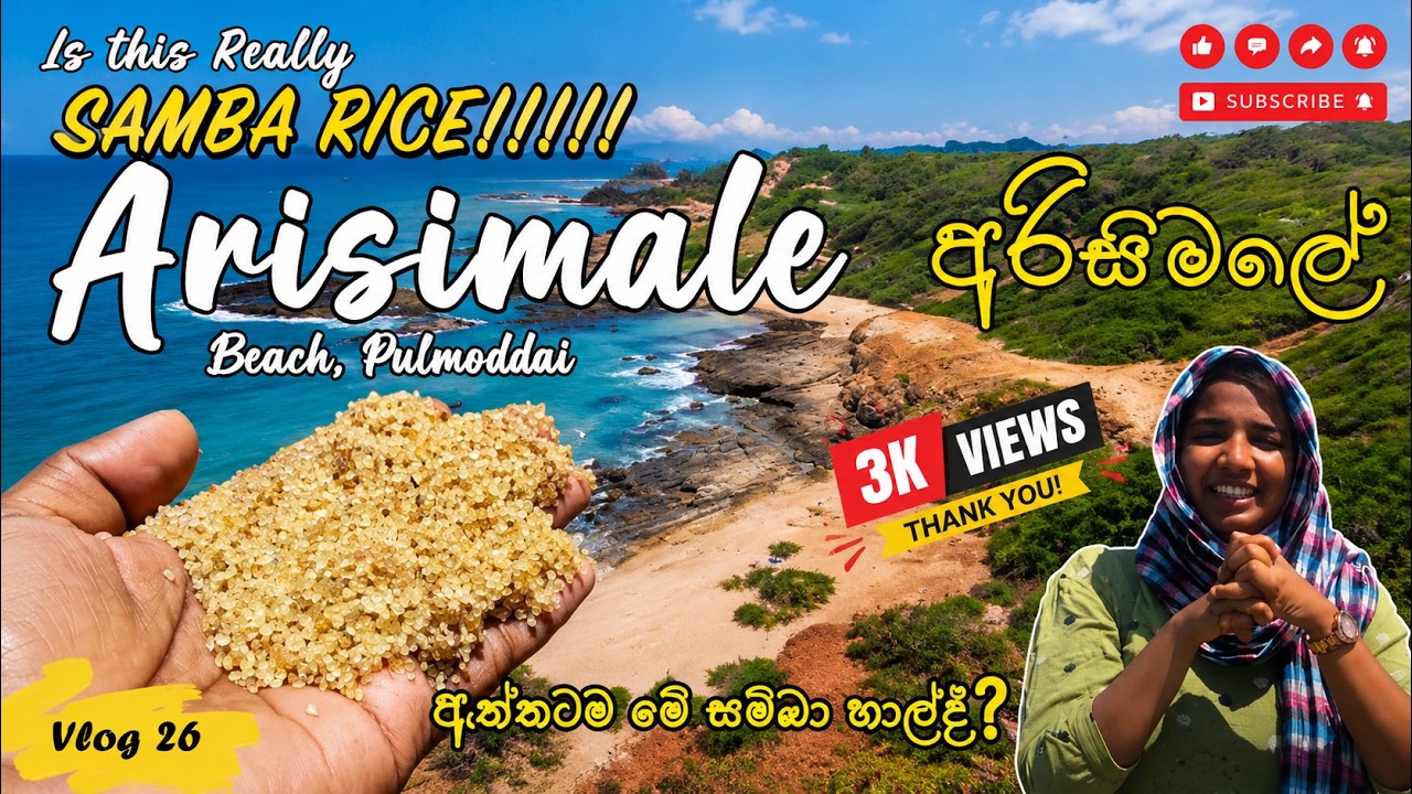 Is this Really SAMBA RICE!!!!! Arisimale Beach, Sri Lanka | Vlog #026 ...