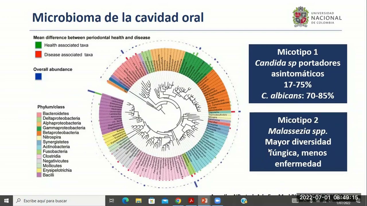 Candidiasis invasora tonsilar - posgrado Infectologia UNAL - YouTube