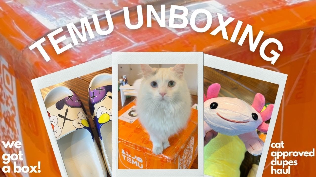Temu Unboxing - We Got a Box! - Cat Approved Haul With Designer Dupes ...