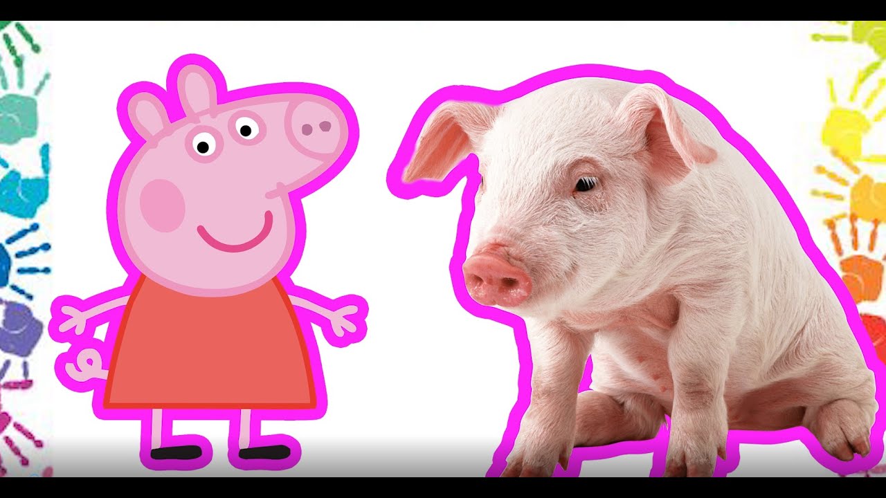 Peppa Pig in Real Life | Peppa Pig Kid Characters - YouTube