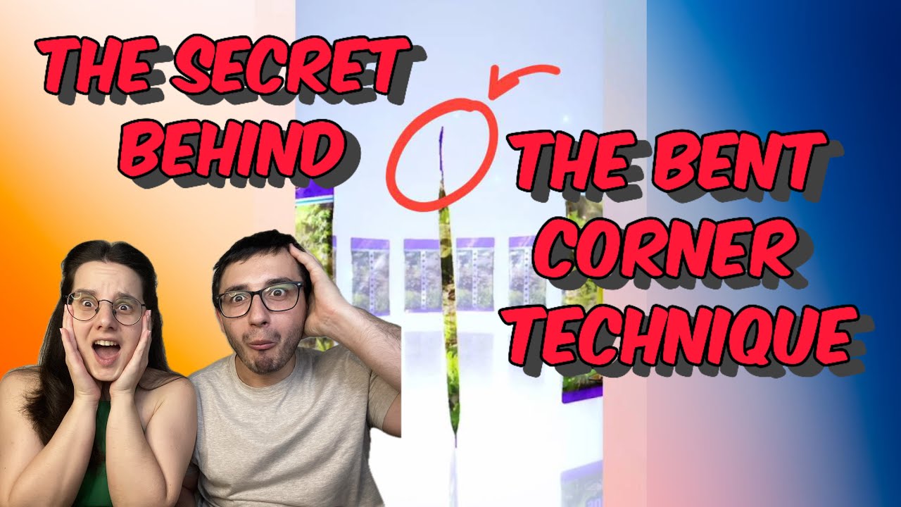 Pokèmon Pocket || THIS IS WHY YOU SHOULD *ALWAYS* USE THE "BEND CORNER ...