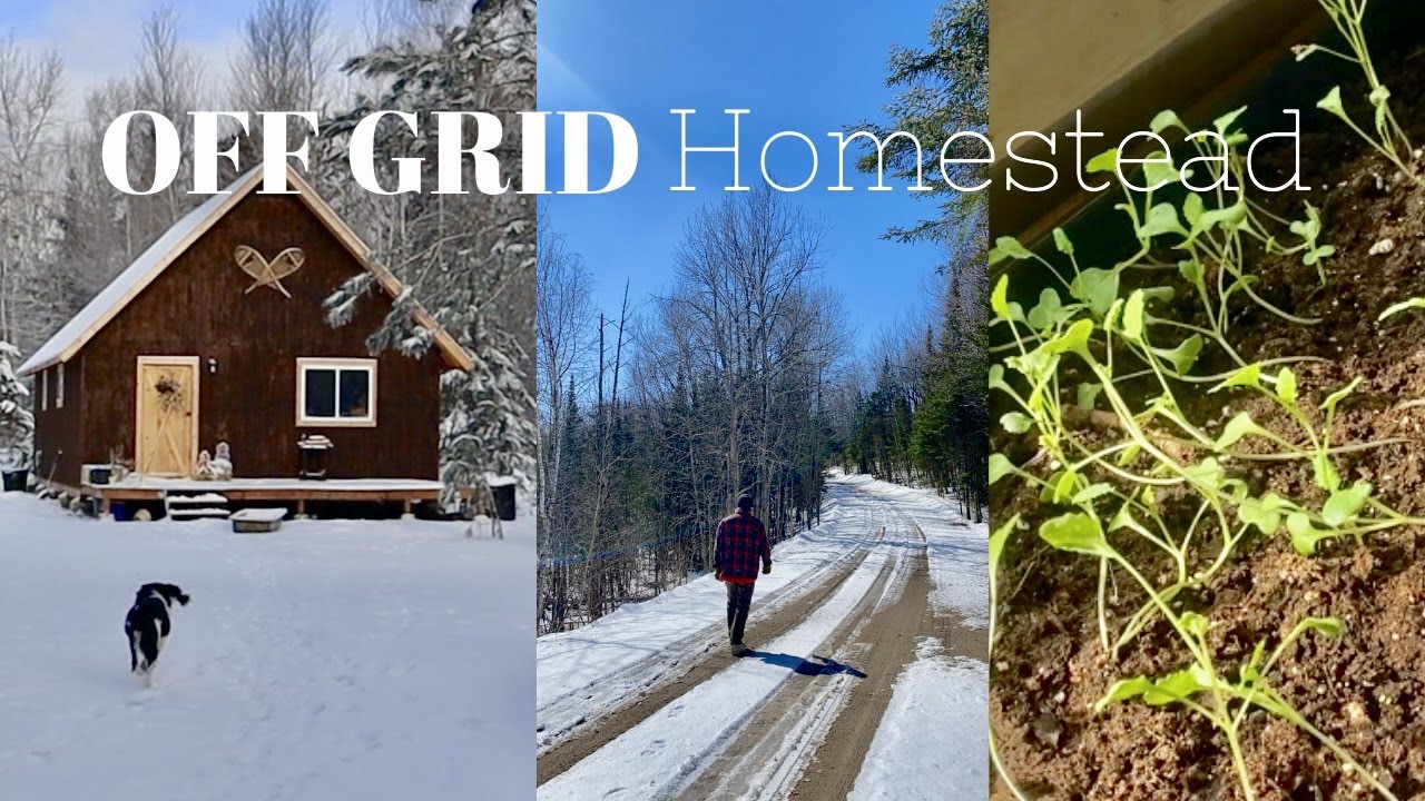Weekend at the Off Grid Homestead with Q&A - YouTube