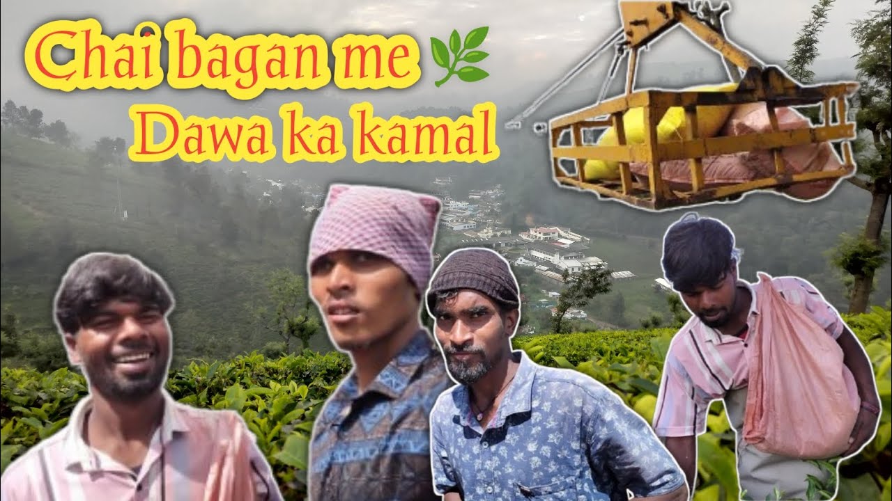 Chai bagan me🌿 😲😲 dawa ka kmal vlogs# viral#santoshjunikavlogs. - YouTube
