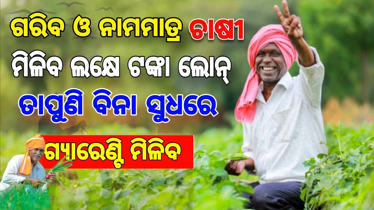 ଗରିବ ଓ ନାମମାତ୍ର ଚାଷୀ ଙ୍କୁ ମିଳିବ ଲକ୍ଷେ ଟଙ୍କା ବିନା ଶୁଦ୍ଧ ରେ // odisha ...