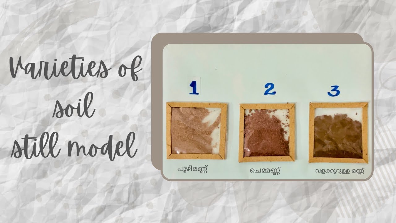 Still model with different types of soils| improvised | 8th biology ...