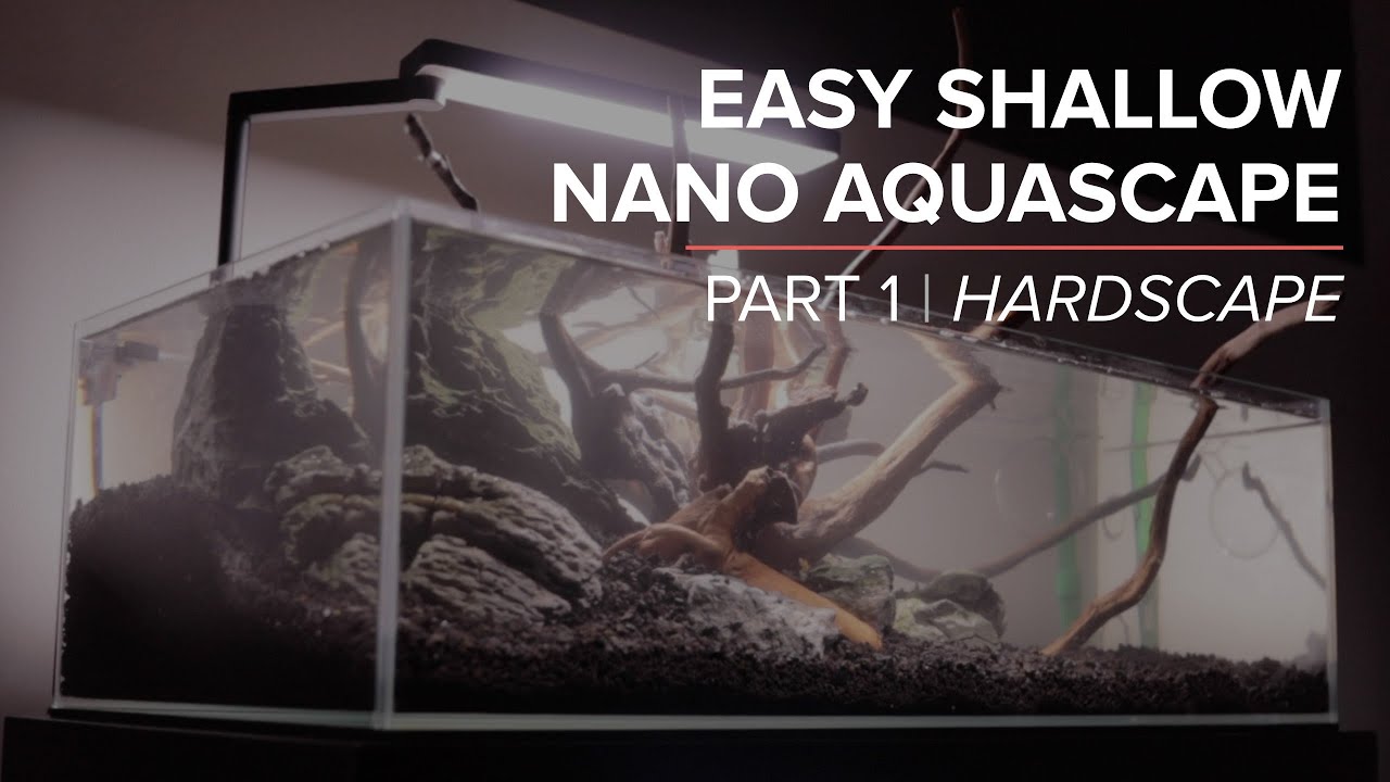 Low Tech Shallow Nano Aquascape | Low Boy Nano Aquarium Planted Tank ...