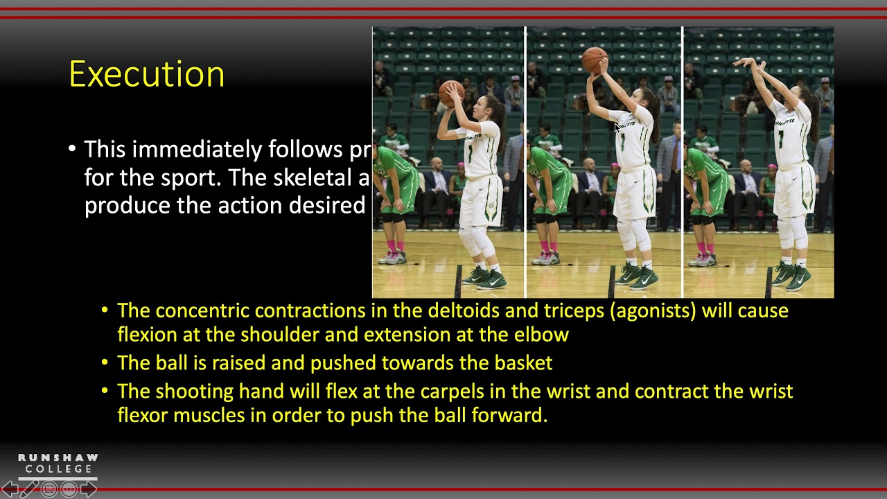 Lesson 14 Analysis of Movement - YouTube