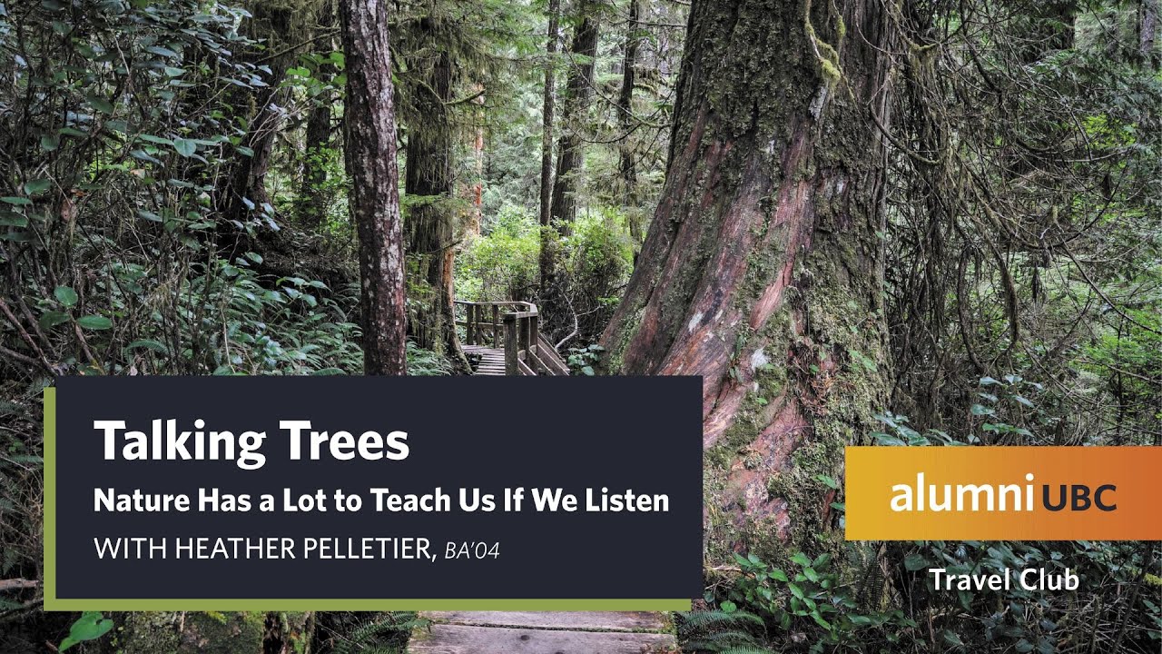 UBC Alumni Travel Club Webinar: Talking Trees - Nature has a lot to teach us if we listen - YouTube